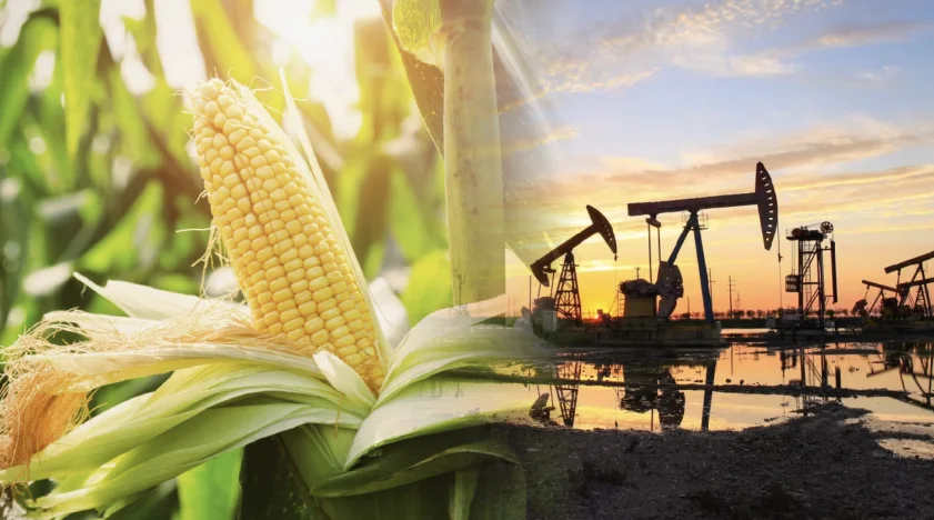 Thị trường hàng hóa nguyên liệu diễn biến phân hoá - Amber Commodities